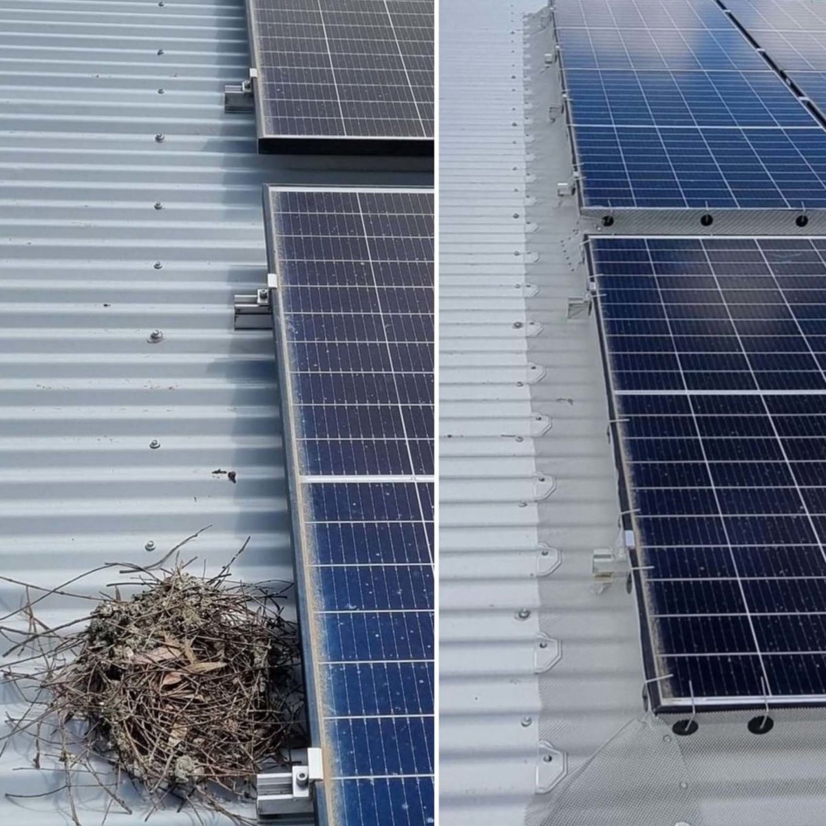 Solar Panel Protection - Perth Gutter Guard